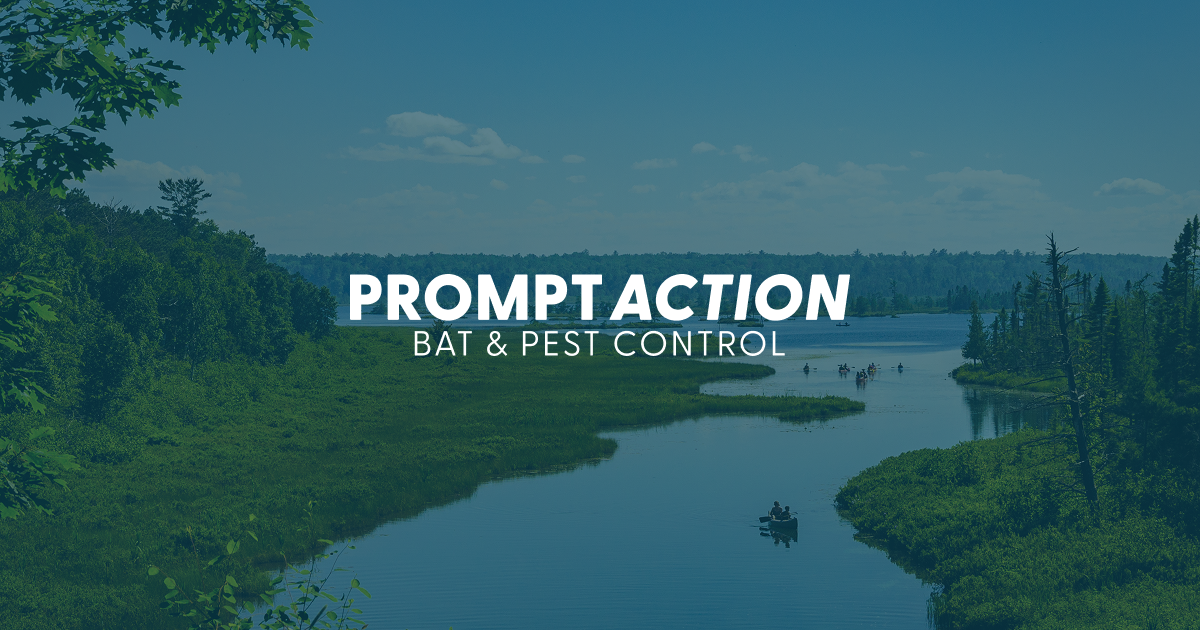 Prompt Action Pest Control | Expert Exterminators In WI & MN